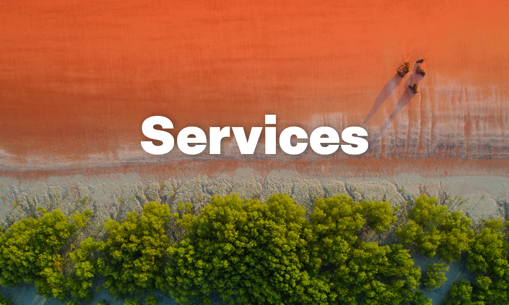 Our Services
